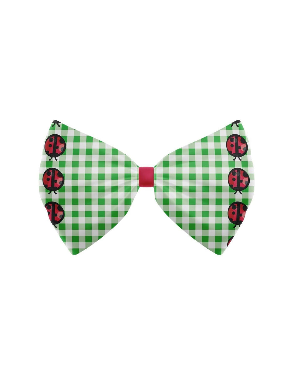 You Are My Sunshine Lady Bug Bum Bow – Hamilton's AUS